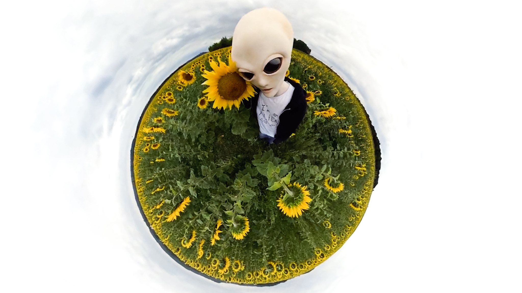 GRAVIITY & FRIEND'S | Pyramiid Production